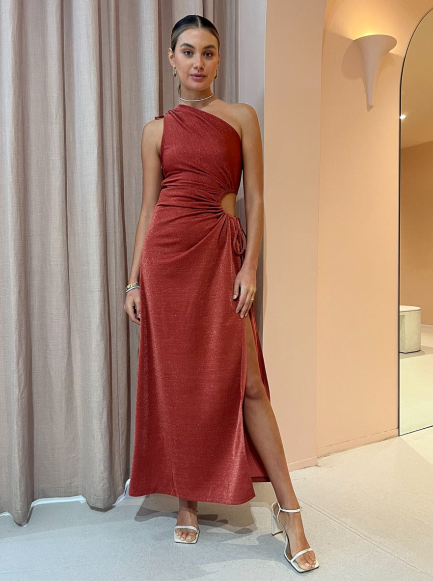 Sonya Nour Rosey Pink Maxi Dress in Rosey Pink – Coco & Lola